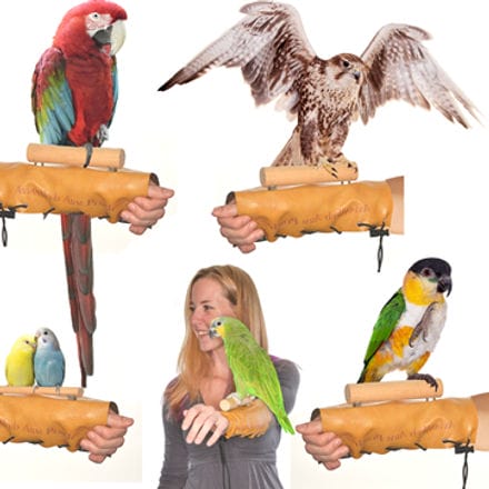 Avianweb (TM) Arm & Hand Perch